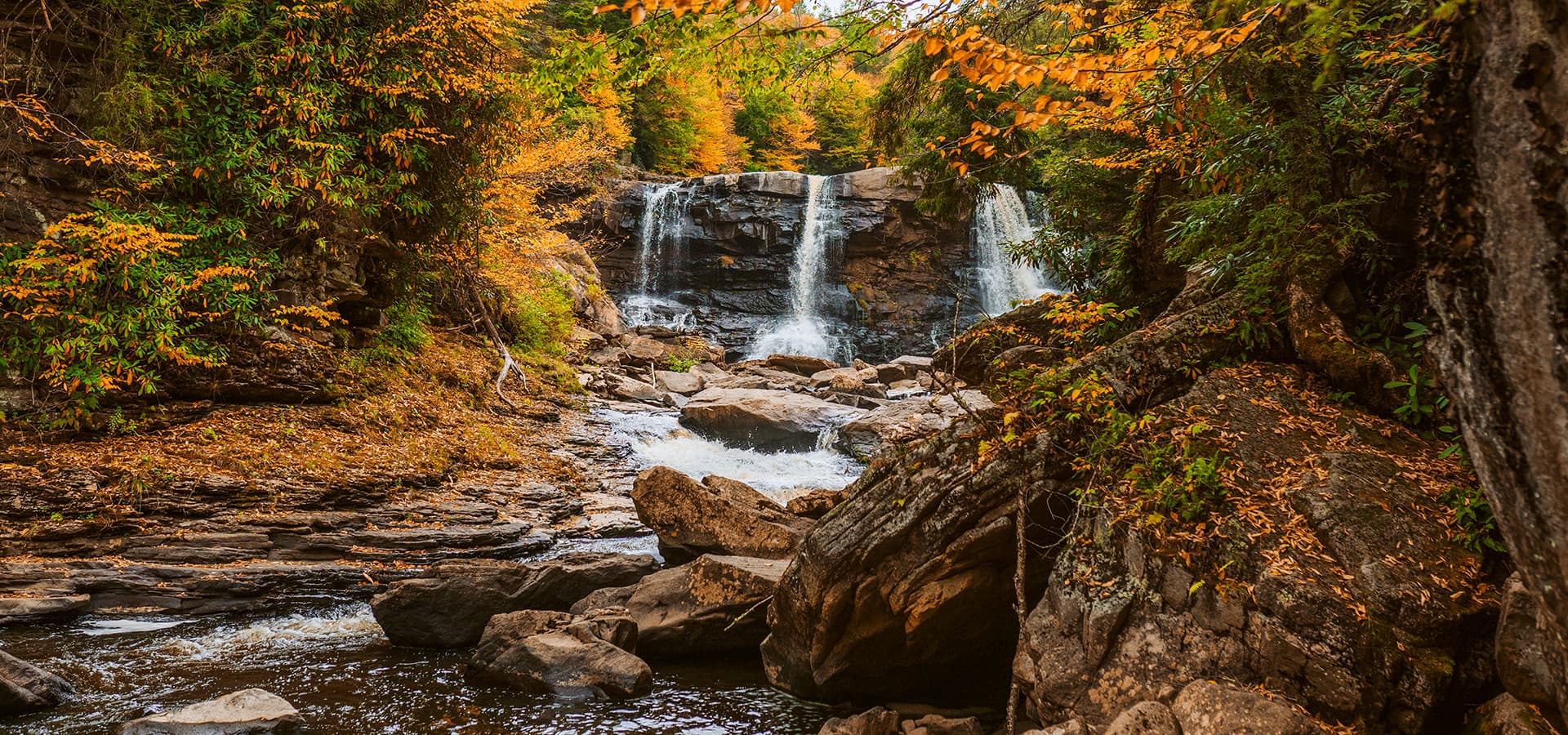 The 5 Best State Parks in West Virginia | Paradise Travel Guides